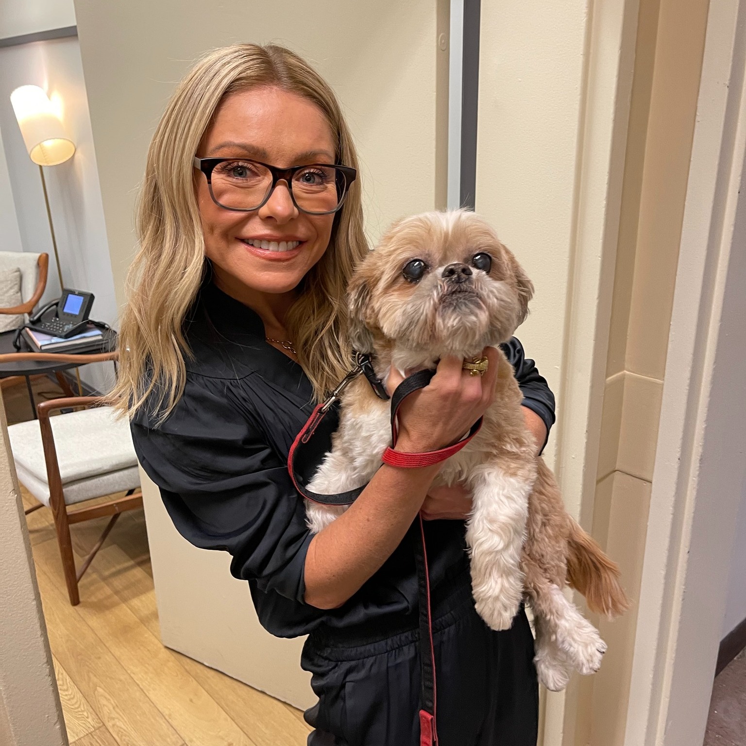 Here’s why Kelly Ripa’s gifted tribute to her late dog is melting fans ...