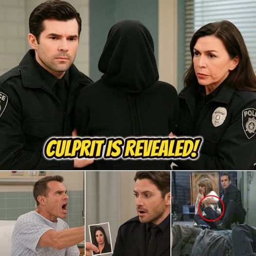 Shocking! PCPD has found the killer who shot Drew, identity terrifying ...